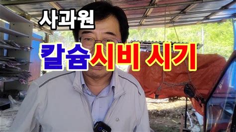 사과과수 칼슘살포 시기 및 칼슘의이해 Youtube