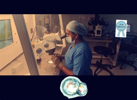 Srirekha Sugumaran On Linkedin Worldembryologistday Miracles