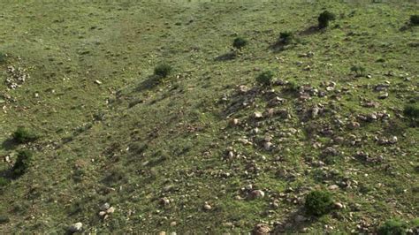 140 White Deer Texas Stock Videos Footage And 4k Video Clips Getty Images