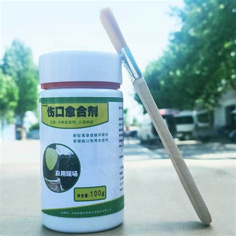 树木伤口愈合剂树干涂补剂盆景树皮涂膜剂果树嫁接切口修复涂抹膏 阿里巴巴