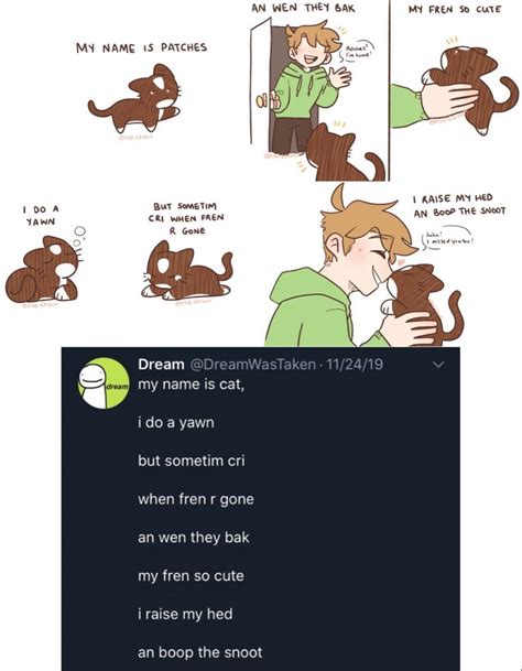 Pin By ķať On My Pin Gallery In 2024 Dream Friends Minecraft Funny