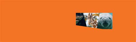 Aza Annual Conference Tampa Fl Campbell And Company