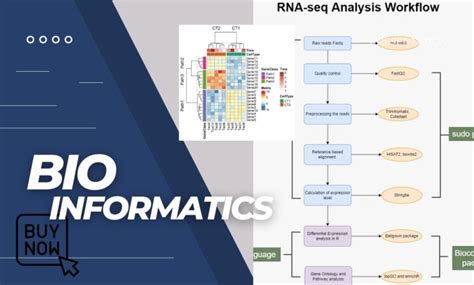 Do Bioinformatics Analysis And Computational Drug Design By