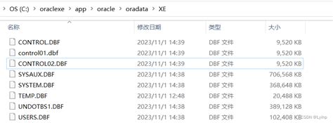 【oracle控制文件管理】控制文件的镜像、删除、备份与恢复oracle镜像 Csdn博客