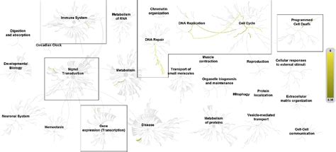 figure 2 from microarray data and pathway analyses for human