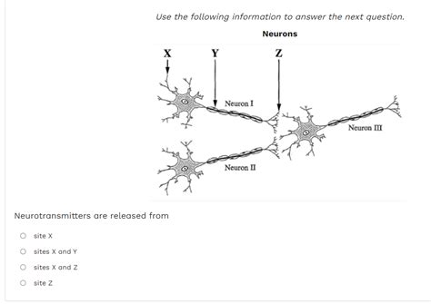 Solved Use The Following Information To Answer The Next Chegg