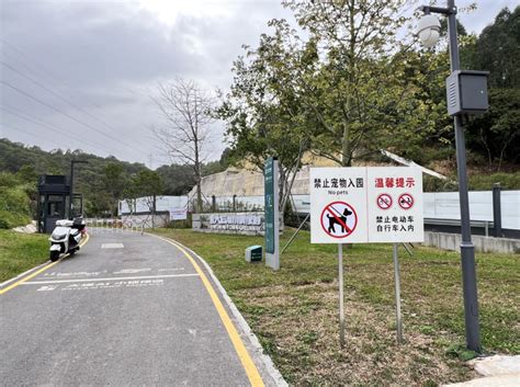 大运AI小镇绿道减速带过多官方回应来了 深圳新闻网