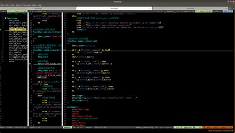 超漂亮 vim 配置：skyvim csdn博客