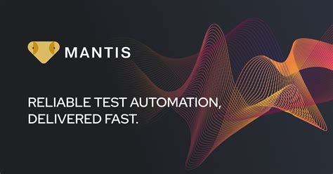 Qa Automation Services Using Playwright And Selenium Mantis