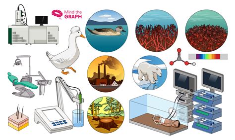 15 幅科学插图：您的新发现｜查看图表