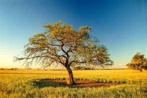 Explore The Pampas Exclusive Vacation Packages To Uruguay Landed Travel
