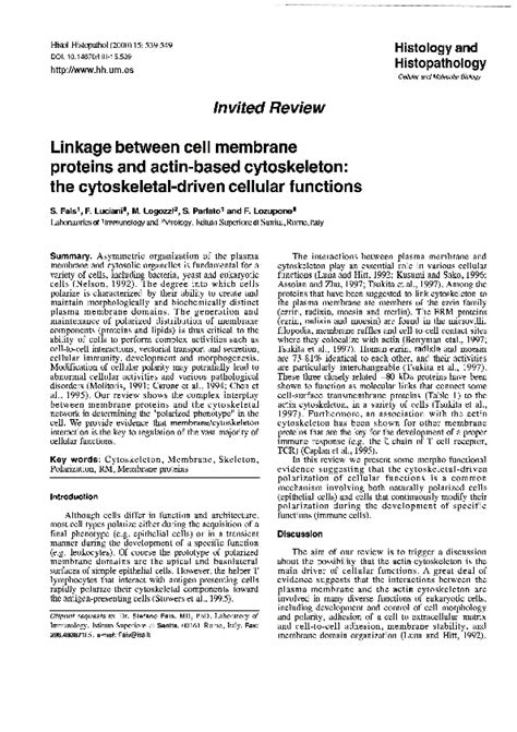 Pdf Linkage Between Cell Membrane Proteins And Actin Based Cytoskeleton The Cytoskeletal