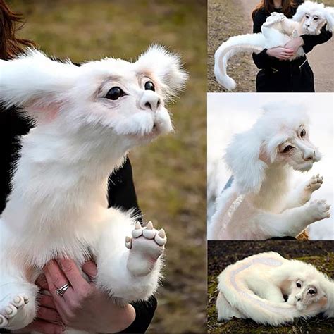 Купити Плюшеві іграшки ляльки Falkor From The Neverending Story