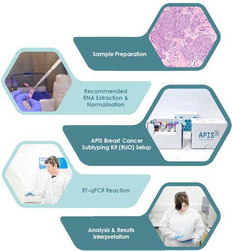 Breast Cancer Subtyping Kit — Apis Assay Technologies Ltd