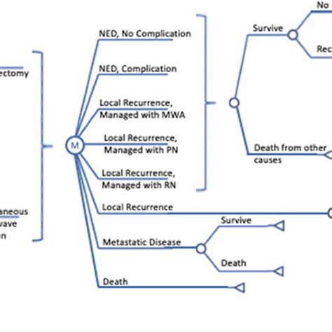 Tornado Diagram For Icer For Robotic Assisted Partial Nephrectomy Vs