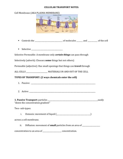 Cellular Transport Notes Passive And Active Transport