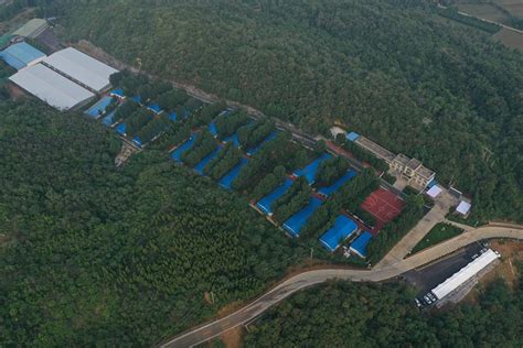 南山养殖基地 济源市阳光兔业科技有限公司