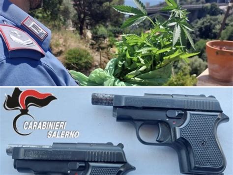 Produzione Di Droga E Armi Nascoste Luigi Lamberti Arrestato In
