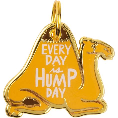 Free Hump Day Clip Art Download Free Hump Day Clip Art Png Images