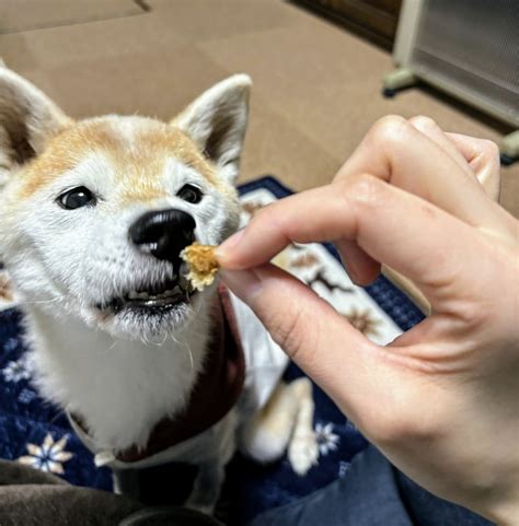 今日はこの角度から りおんとまったり