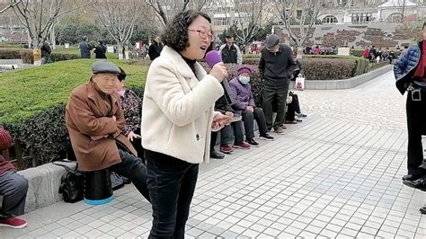 美女一曲《多情的土地》唱的亲切感人。音乐音乐综合好看视频