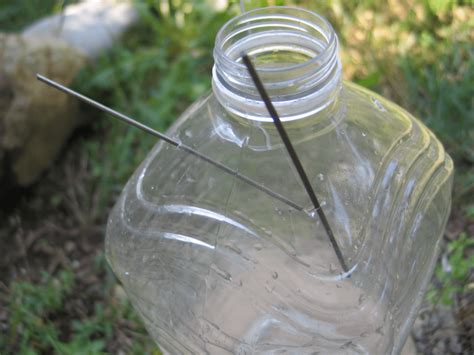 DIY Small Game Trap Learn To Build A Better Mousetrap