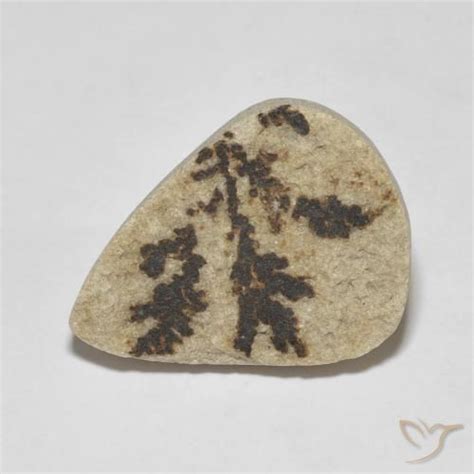 Psilomelane Dendrite For Sale Items In Stock Ship Worldwide G