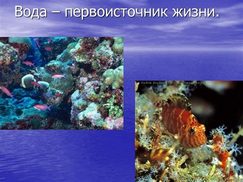 Вода - это жизнь! - презентация онлайн