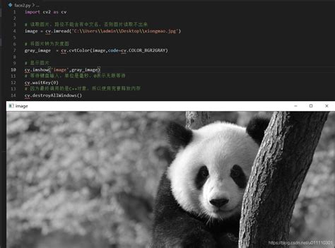 Python系列之一：opencv读取本地图片并转为灰度图片python Opencv 文件夹中的图片转灰度图 Csdn博客