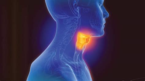 Managing Oral Mucositis Decisions In Dentistry