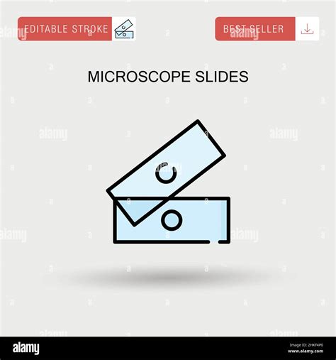 Portaobjetos De Microscopio