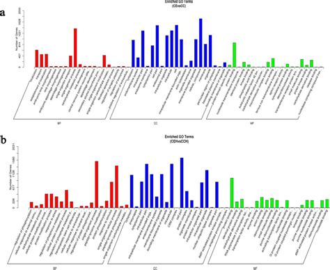 The Go Enrichment Analysis For Target Genes Of Dems A The Significant