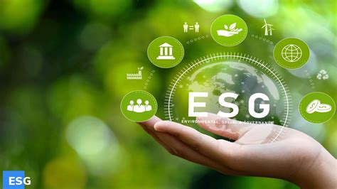 Sebis Six New Mutual Fund Strategies Under Esg Theme Gktoday