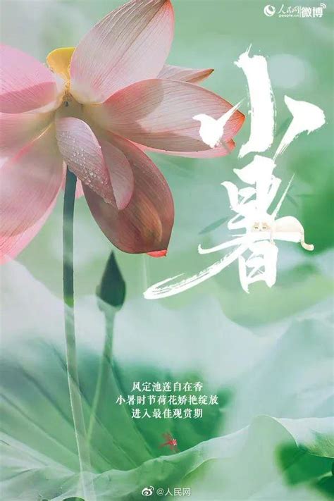 小暑賽詩會夏伏暑意漸盛賞詩自清涼 每日頭條