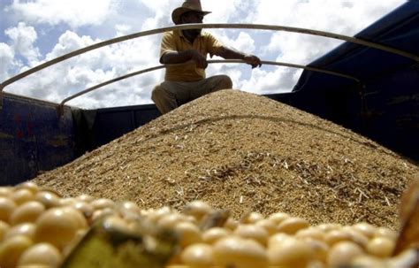 Pib Do Brasil Cresce 19 No 1º Trimestre De 2023 Camaçari Notícias