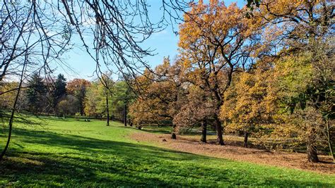 Parcul Sub Arini Sibiu Ghid turistic atracții și locuri de joacă