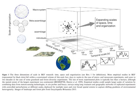Its All About Scale Biodiversity Institute