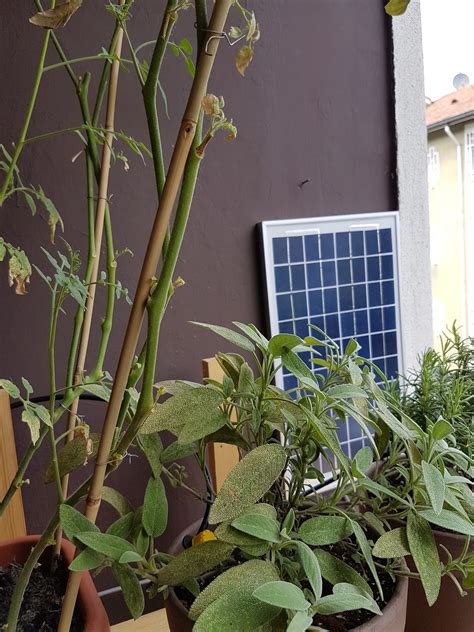 Sistema Di Irrigazione Con Arduino Danielealbertiit