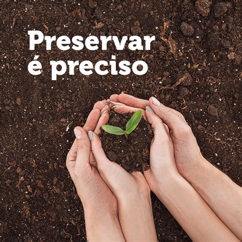 Qual A Importância De Cuidar Do Meio Ambiente REVOEDUCA