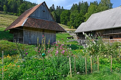 Altes Bauernhaus Im Schwarzwald Hochschwarzwald Old Farmhouse In The Black Forest Germany