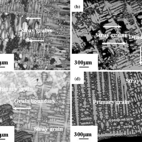 PDF Effect Of Platform Dimension On The Dendrite Growth And Stray