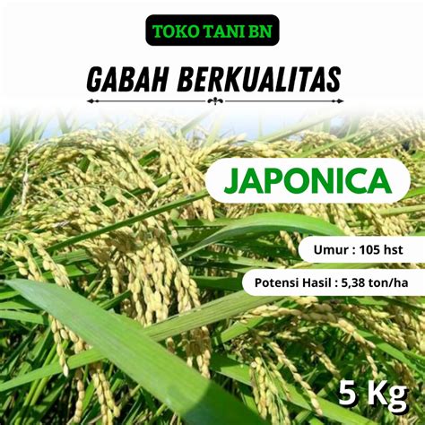 Jual Benih Padi Japonica Kemasan Kg Super Pulen Shopee Indonesia