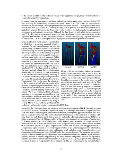 Semantic Segmentation Of Sparse Irregular Point Clouds For Leafwood