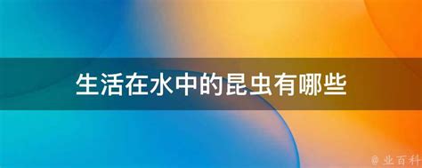生活在水中的昆虫有哪些 业百科