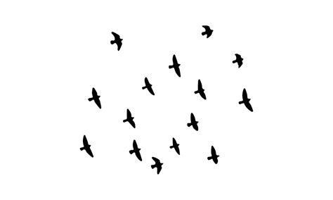 Premium Vector Flying Birds Silhouette