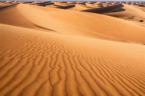Premium Vector Sand Dunes Desert