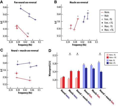 Distributed Effects Of Biological Sex Define Sex Typical Motor Behavior In Caenorhabditis