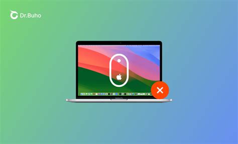 Mac Mouse Not Working After Sonoma Update 11 Easy Fixes