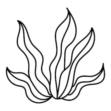 Premium Vector Cartoon Sea Objects With Seaweed And Coral Outlined