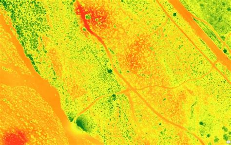 Multi Spectral Data Collection